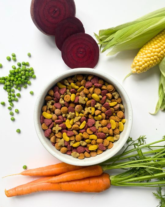 Welke groenten en fruit mag je hond wel en niet eten? – PAWR Welke groenten en fruit mag je hond wel en niet eten? – PAWR